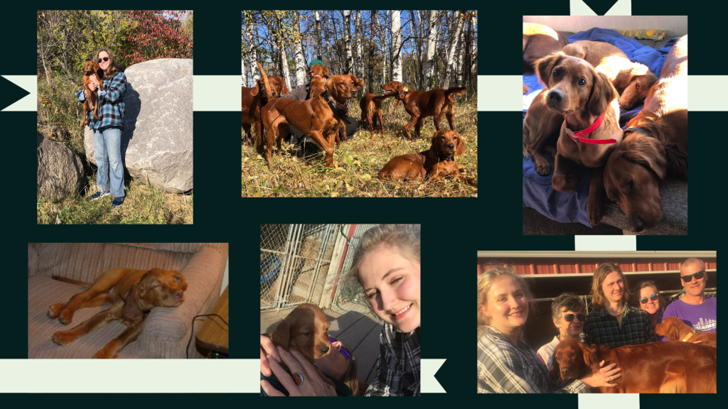 Photo Board – IronFire Setters